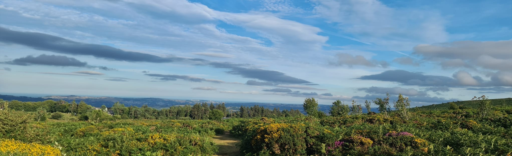 Haytor Vale and Hound Tor Circular: 158 Reviews, Map - Devon, England ...