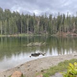 Heart Lake Trail, California - 487 Reviews, Map | AllTrails