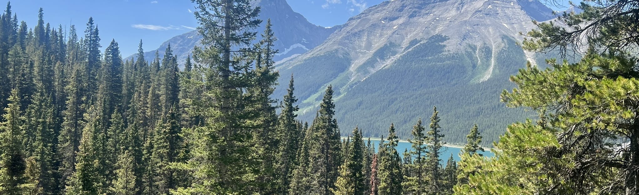 Mount Lougheed, Alberta, Canada - 102 Reviews, Map | AllTrails