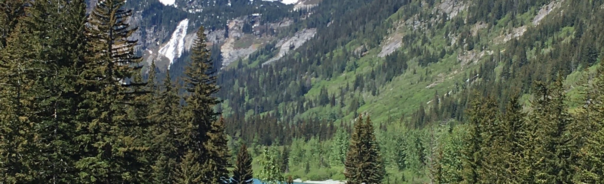 Spider Gap via Cloudy Pass Trail #1256: 5 Reviews, Map - Washington ...
