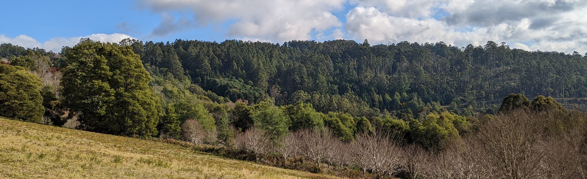 Mathias Road Loop: 189 Reviews, Map - Victoria, Australia | AllTrails