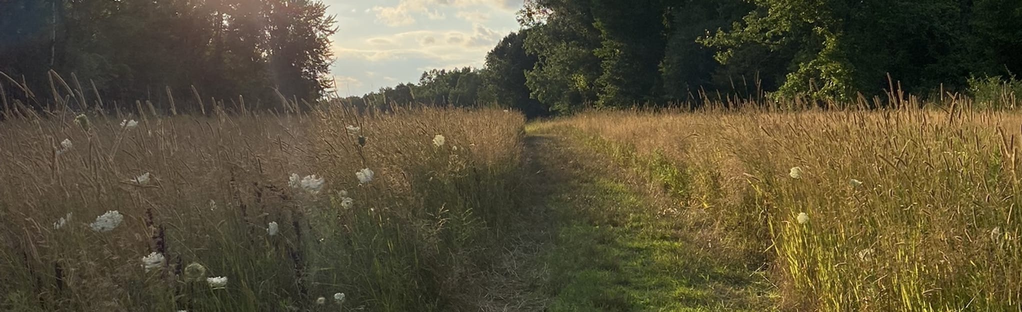 Lost Lake Trail, Michigan - 75 Reviews, Map | AllTrails