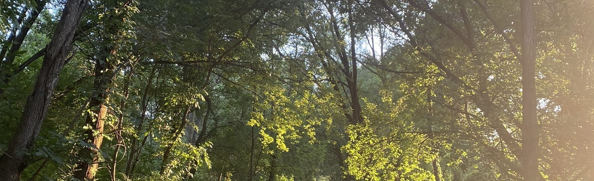 Prairie Duneland Trail, Indiana - 344 Reviews, Map | AllTrails