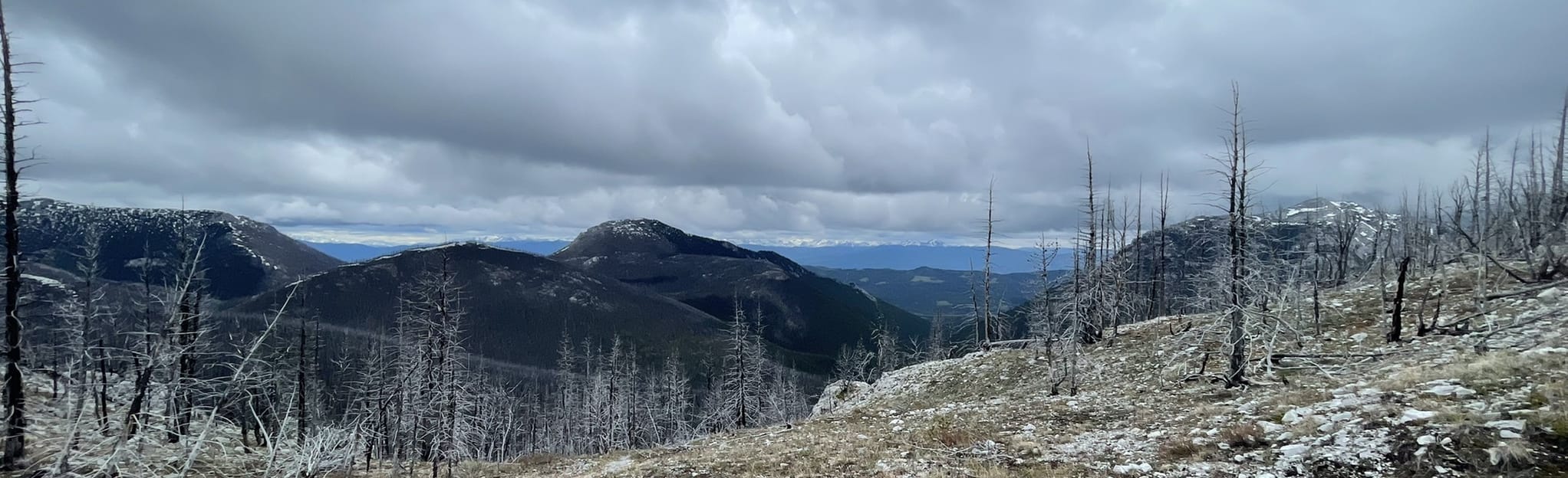 Mount Kerr and Wild Horse Ridge: 4 Reviews, Map - British Columbia ...