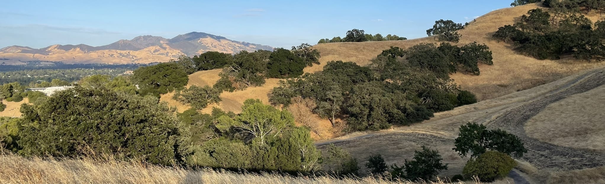 Camino Verde to Ridge Top Trail: 280 Reviews, Map - California | AllTrails