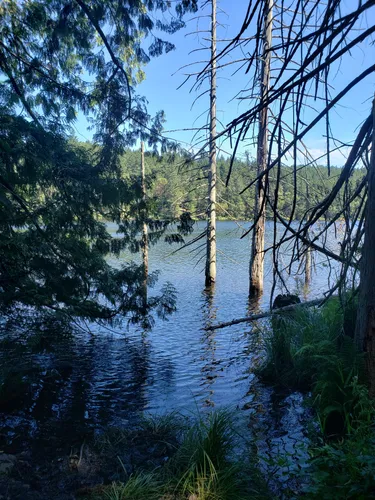 Best Hikes and Trails in Nanoose | AllTrails