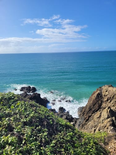 2023 Best 10 Trails and Hikes in Mackay | AllTrails