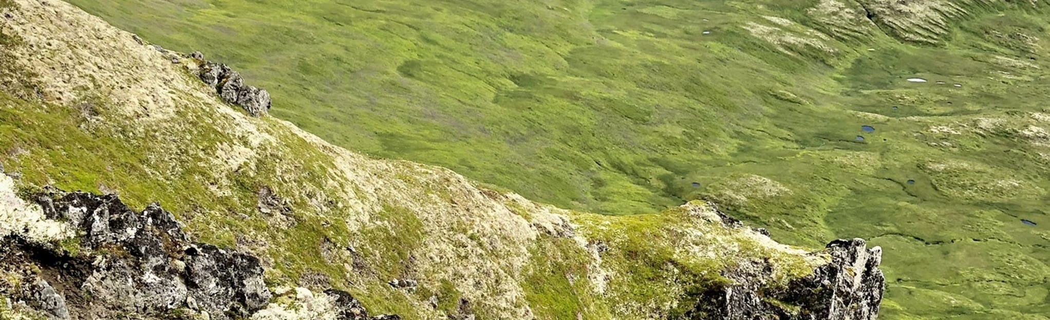 Hornvík - Hornbjarg, Westfjords Region, Iceland - 26 Reviews, Map ...