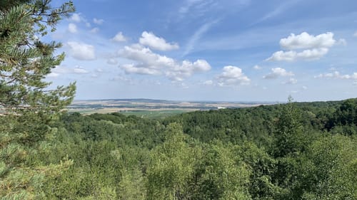 Best 10 Hikes and Trails in Montagne de Reims Regional Nature Park ...