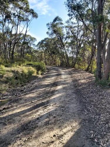 Best Views Trails in Moondarra | AllTrails