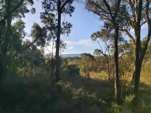 Best Views Trails in Moondarra | AllTrails