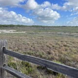 Oso Bay Wetlands Preserve, Texas - 333 Reviews, Map | AllTrails