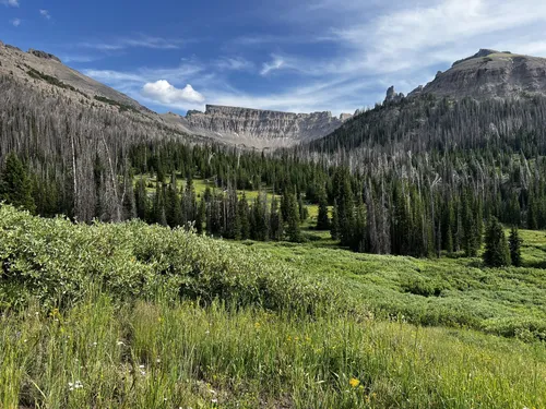 10 Best Hard Trails in Shoshone National Forest | AllTrails