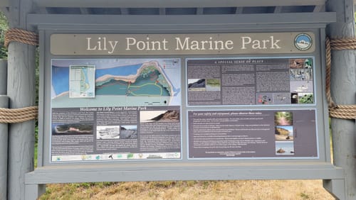 Best Hikes and Trails in Lily Point Marine Reserve | AllTrails