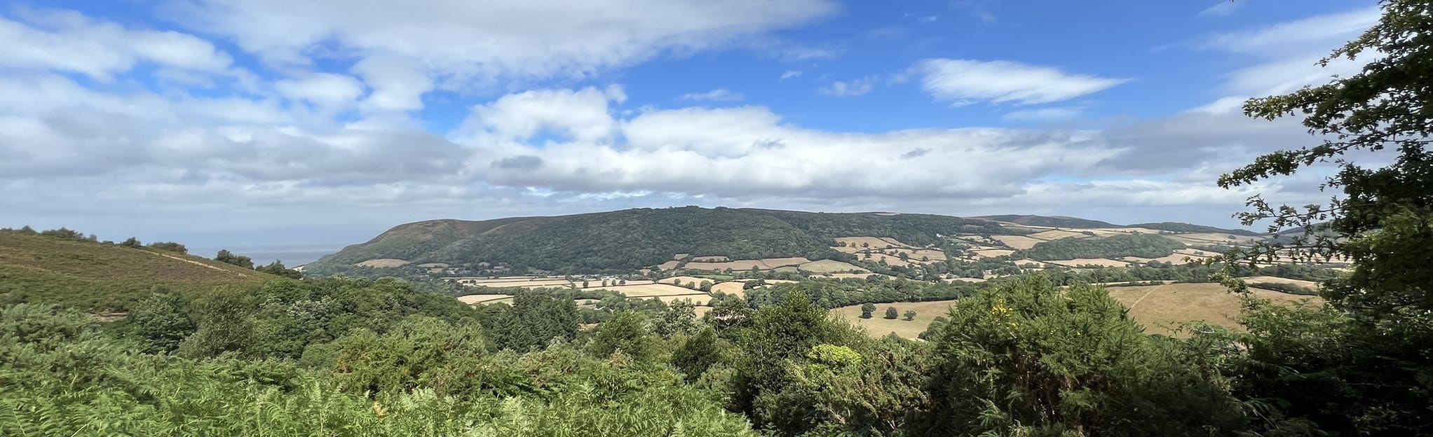 Horner Wood Circular: 31 Reviews, Map - Somerset, England | AllTrails