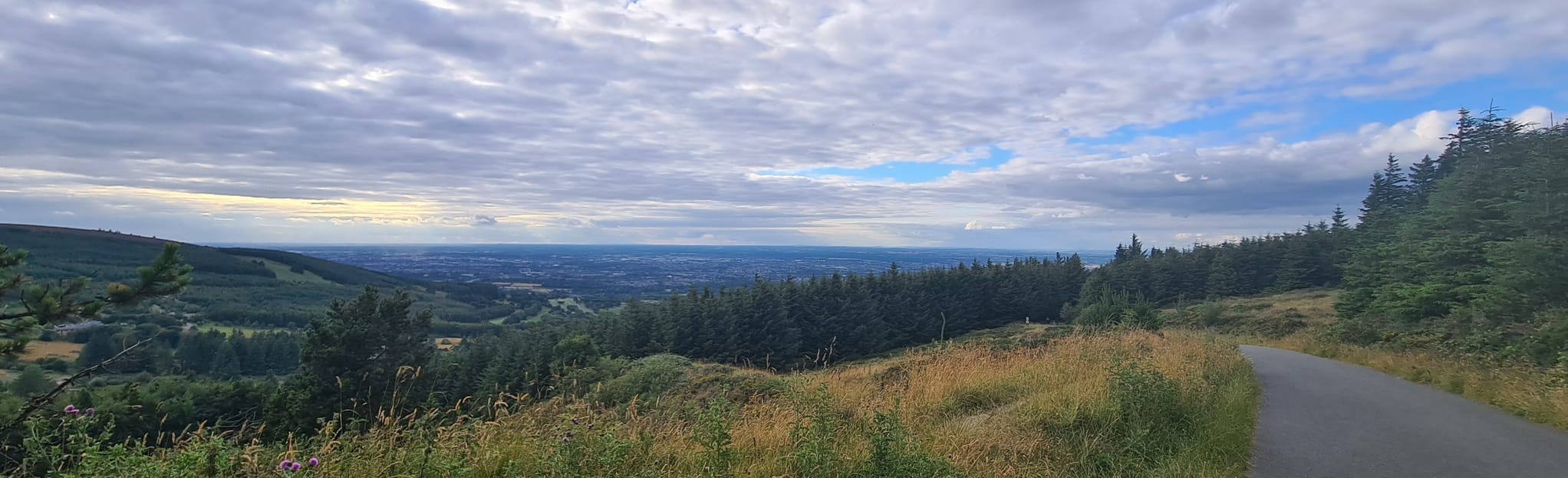 Three Rock MTB Loop, County Dublin, Ireland - 79 Reviews, Map | AllTrails