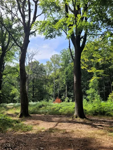 Parc naturel des Plaines de l'Escaut : les 10 meilleures randonnées et ...