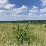 Assunpink Wildlife Management Area Trails, New Jersey - 205 Reviews ...