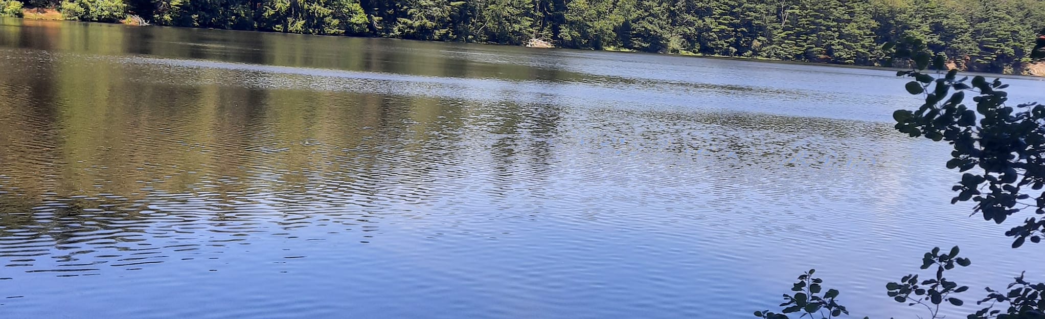 McLellan-Poor Reservoir Trail, Maine - 94 Reviews, Map | AllTrails