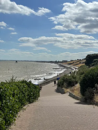 2023 Best Beach Trails in Harwich | AllTrails
