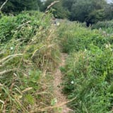 Itchen River Walk: Southampton to Winchester, Hampshire, England - 201 ...