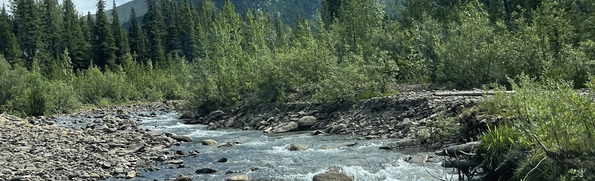 Kakwa Falls Trail: 70 Fotos - Alberta, Kanada | AllTrails