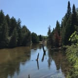 Boardman/Ottaway River Trail, Michigan - 244 Reviews, Map | AllTrails