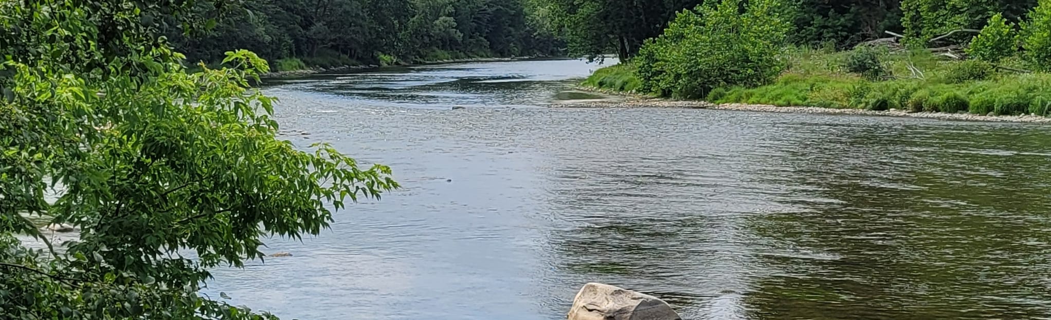 AllTrails | Thames River Paddle: Kilworth to Delaware: 8 Reviews, Map ...