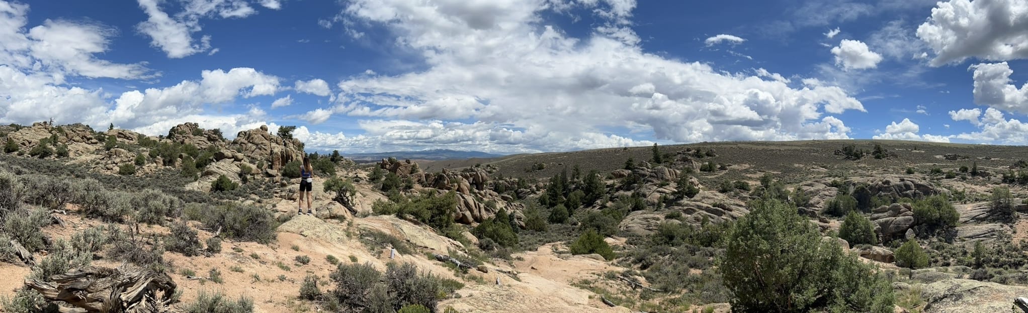 Bambi’s and Sawtooth Loop: 54 Reviews, Map - Colorado | AllTrails