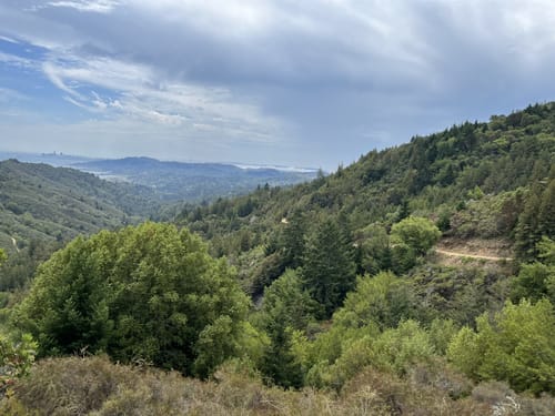 2023 Best 10 Trails and Hikes in Larkspur | AllTrails