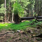 Cook Trail, Pennsylvania - 162 Reviews, Map | AllTrails