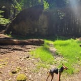 Cook Trail, Pennsylvania - 162 Reviews, Map | AllTrails