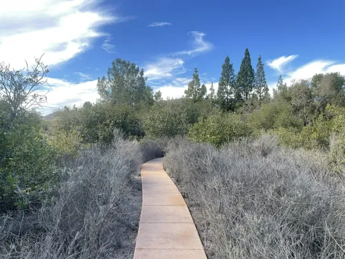 Best Hikes and Trails in Turtle Rock Community Park | AllTrails