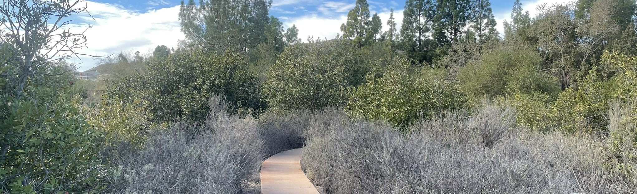 Turtle Rock Nature Center, California - 21 Reviews, Map | AllTrails