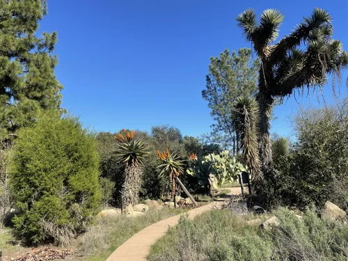 Best Hikes and Trails in Turtle Rock Community Park | AllTrails