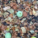 Quail Trail Loop, Utah - 287 Reviews, Map | AllTrails