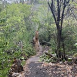 Quail Trail Loop, Utah - 287 Reviews, Map | AllTrails