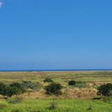 Saltfleetby-Theddlethorpe Dunes Nature Reserve, Lincolnshire, England ...