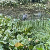 Ohio and Erie Canal Towpath: Botzum to Everett, Ohio - 611 Reviews, Map ...