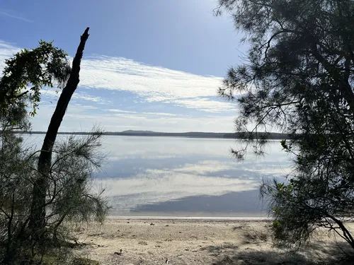 Best Hikes and Trails in Lake Weyba Bushland Reserve Network | AllTrails