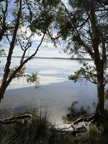 Best Hikes and Trails in Lake Weyba Bushland Reserve Network | AllTrails