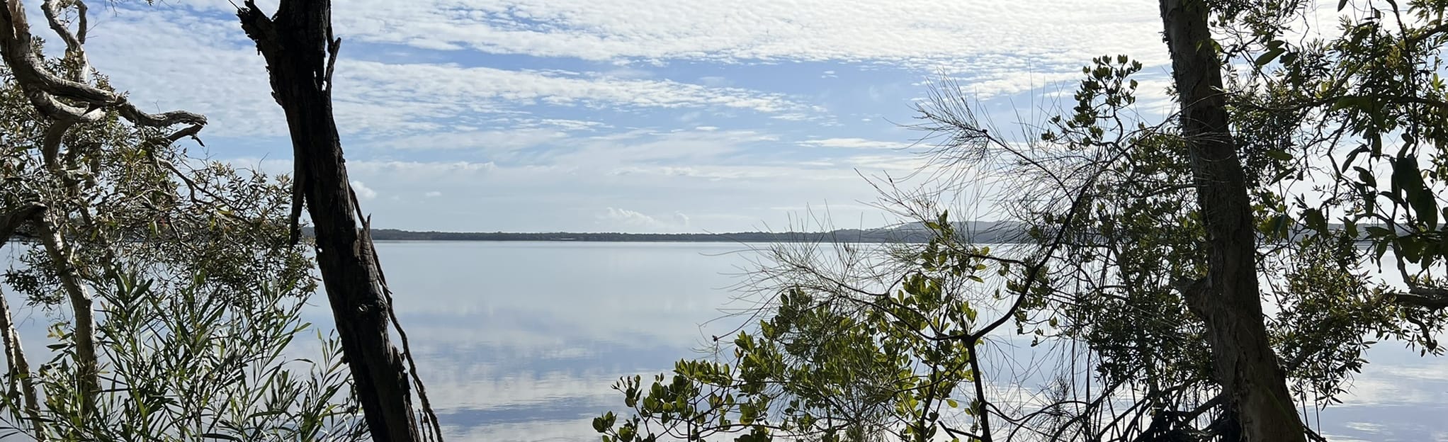 Weyba Creek - Lake Weyba, Queensland, Australia - Map, Guide | AllTrails