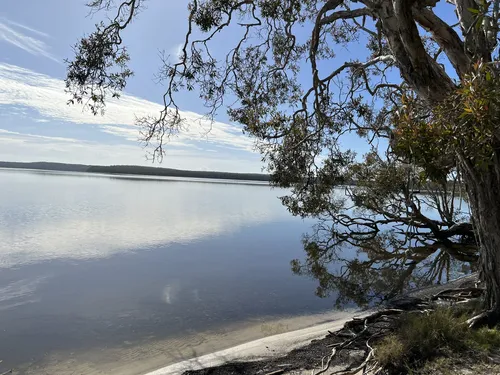 Best Hikes and Trails in Lake Weyba Bushland Reserve Network | AllTrails