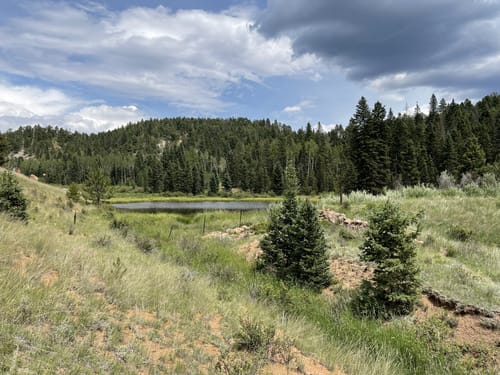 Best 10 Hikes and Trails in Mueller State Park | AllTrails