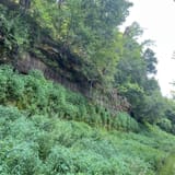 Red Cedar State Trail, Wisconsin - 215 Reviews, Map | AllTrails