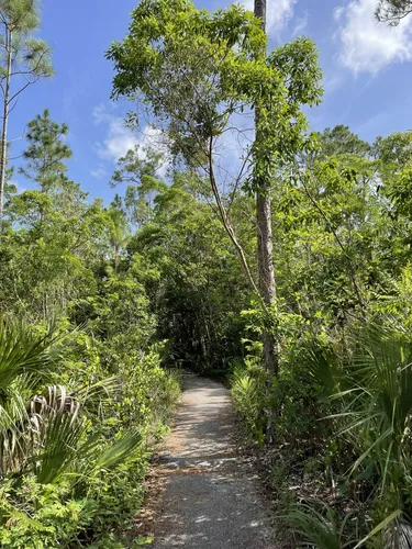 10 Best Hikes and Trails in Everglades National Park | AllTrails