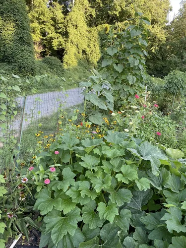 Best Hikes and Trails in Nottoway Park | AllTrails