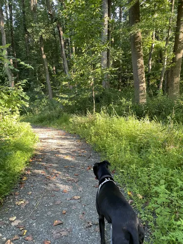 Best Hikes and Trails in Nottoway Park | AllTrails