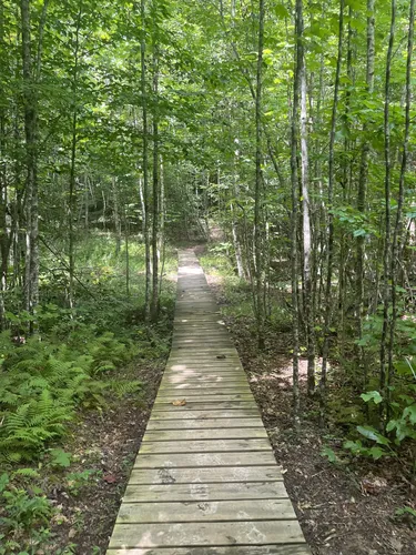 Best Hikes and Trails in Muir Valley Nature Preserve | AllTrails