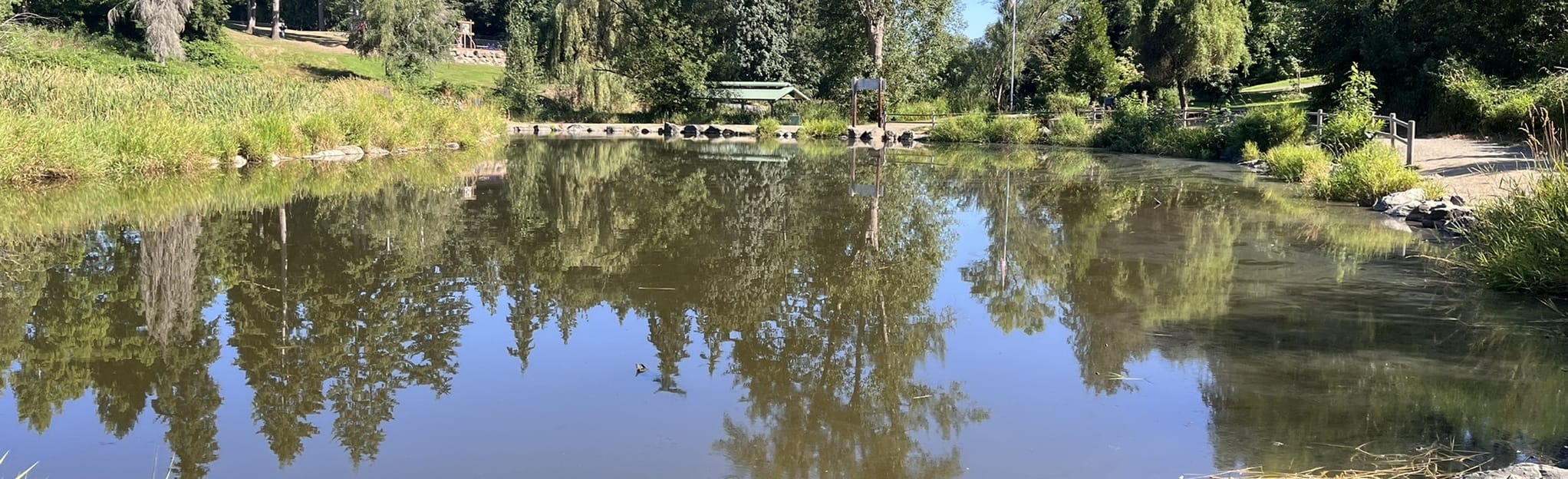 Jennings Memorial Park: 76 Reviews, Map - Washington | AllTrails